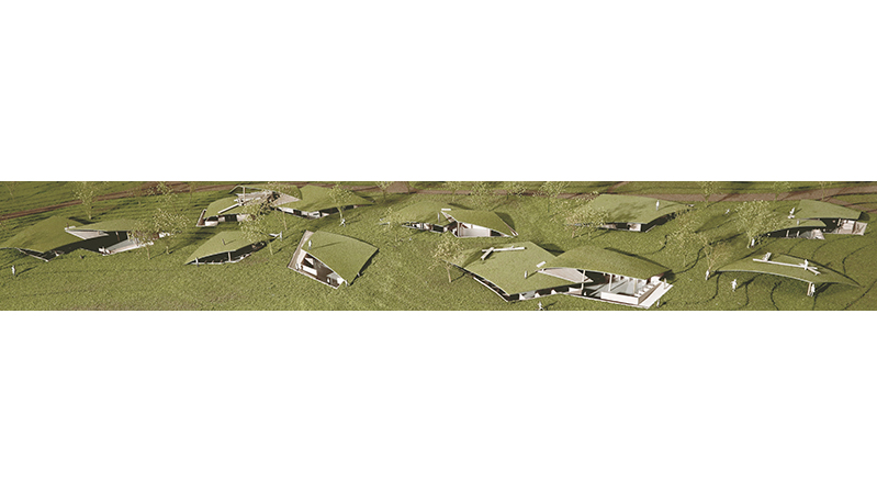 WANG Tianshi 《落葉》 | 多摩美術大学